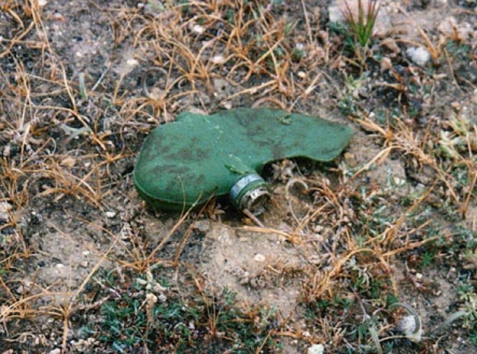 A live rebuilt after a butterfly mine explosion | FSD