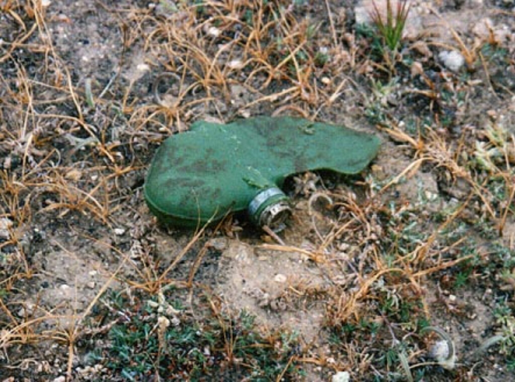 A live rebuilt after a butterfly mine explosion | FSD